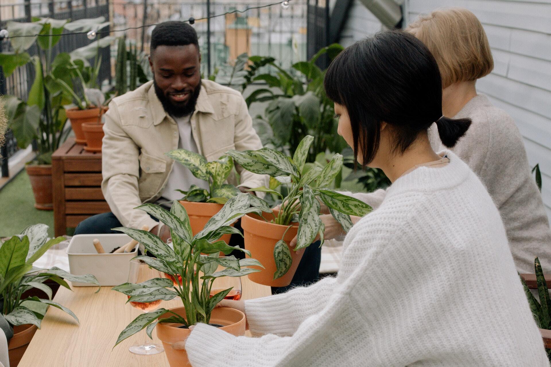 8 Fun Earth Day Activity Ideas For Your Workplace Chezuba 8 Fun Earth Day Activity Ideas For Your Workplace Chezuba